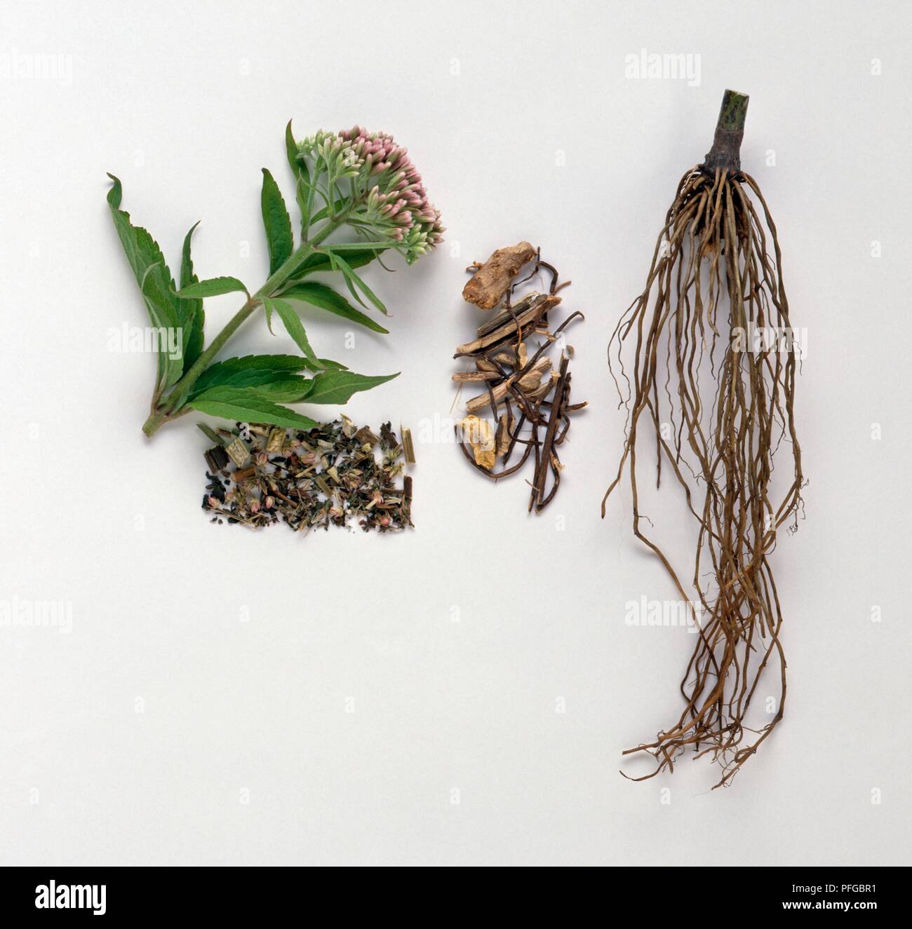 Types of cut hi-res stock photography and images - Alamy