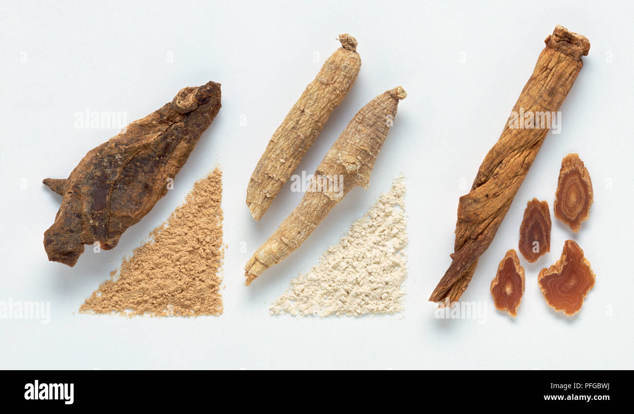 Ginseng panax spp, parts used: root (known as ren shen in China) and ...