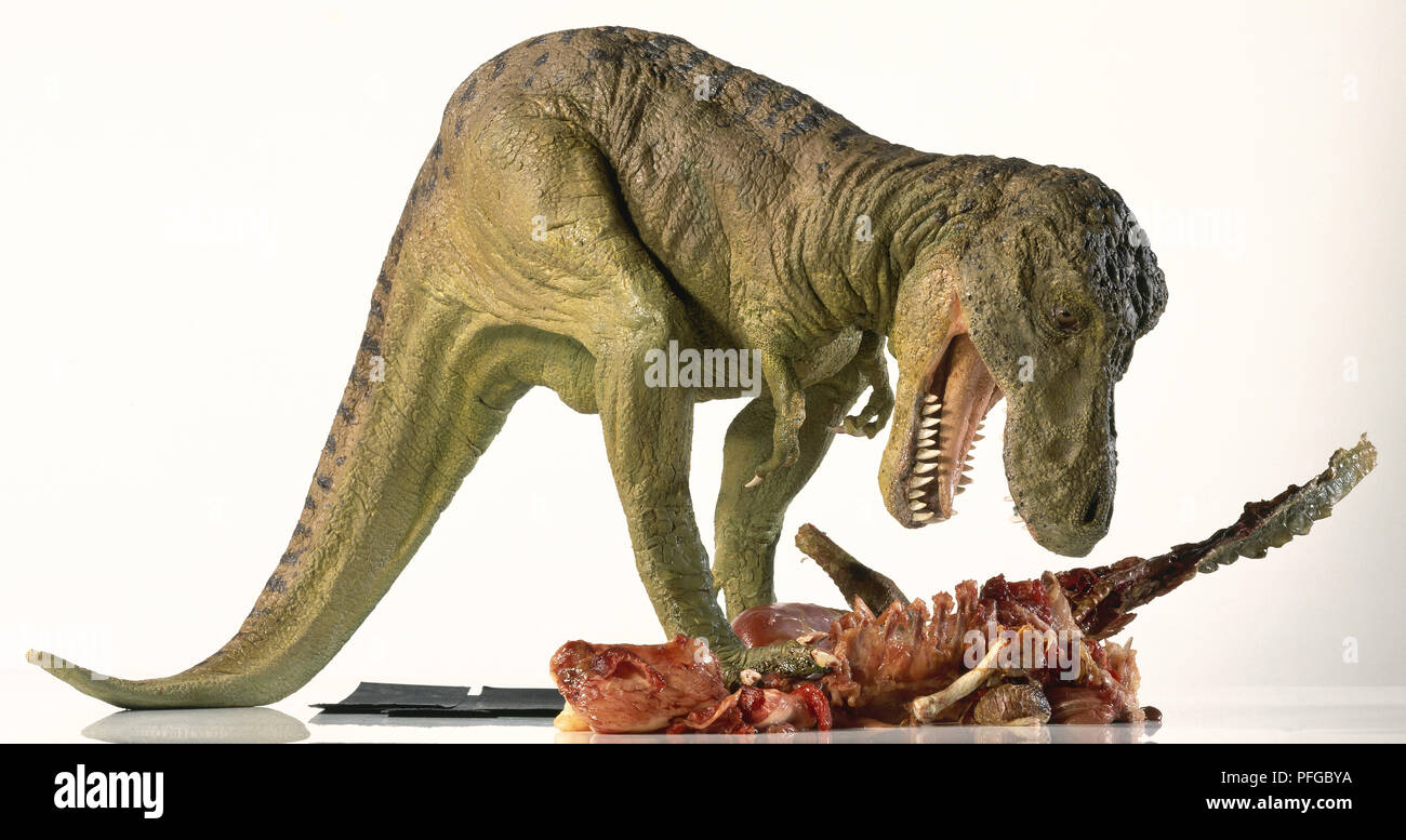 Tiranosaurio Rex Comiendo Carne