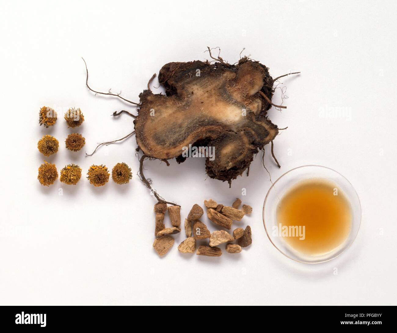 Dried flowers (Xuan fu hua) from Inula japonica, and fresh root, dried ...