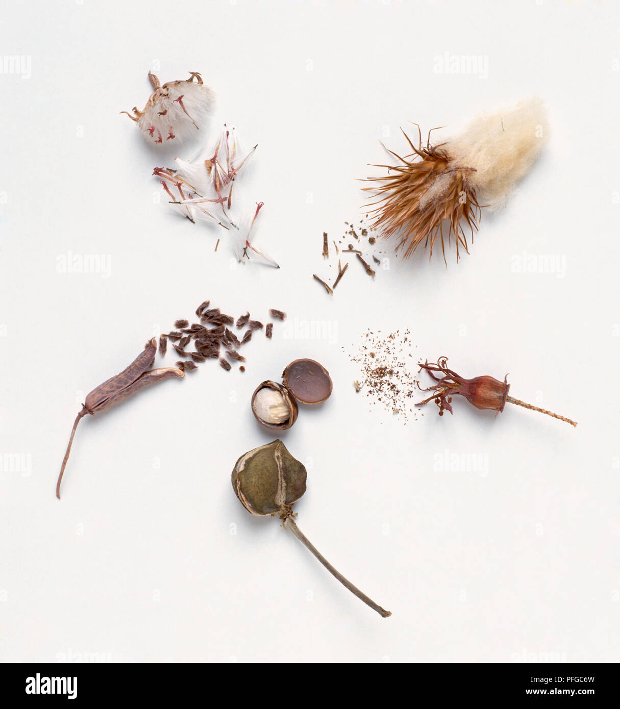 Open reveal hi-res stock photography and images - Alamy