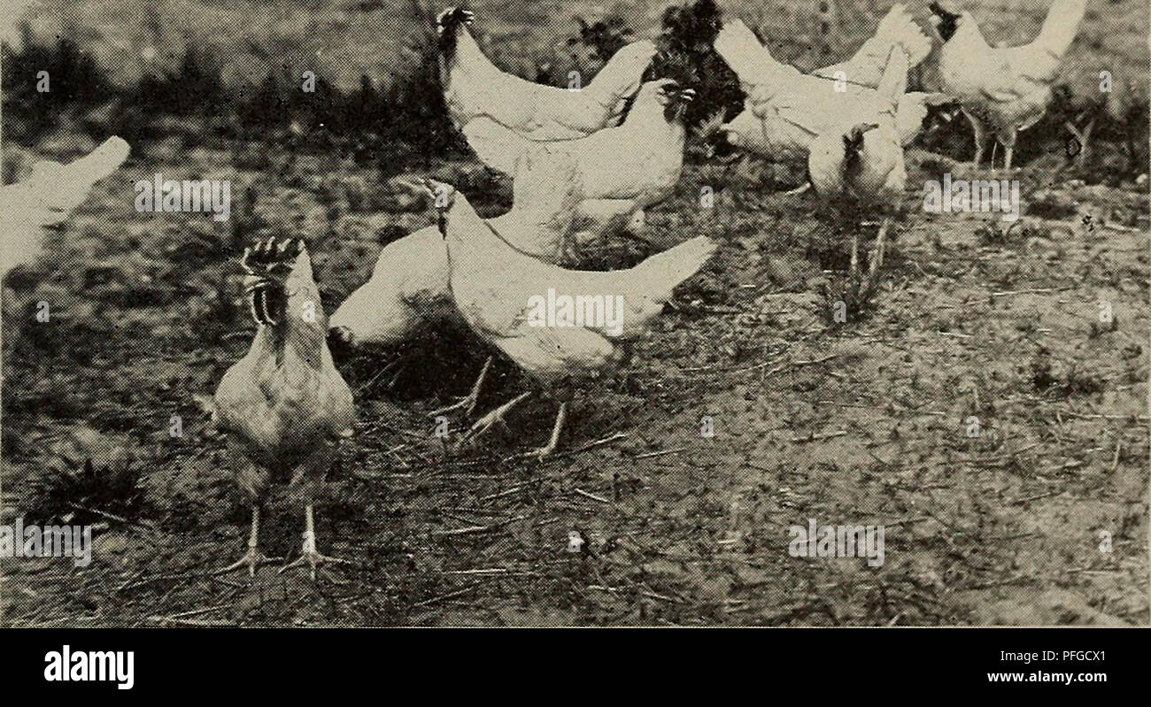 This image captures the Missouri State Poultry Experiment Station at ...