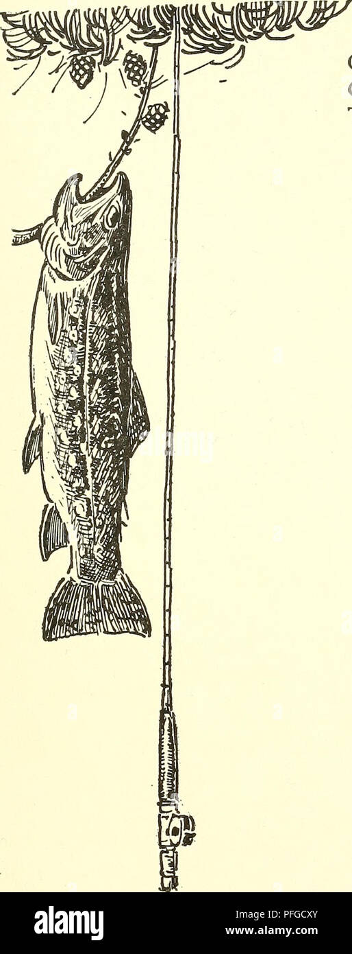 This book offers a narrative of outdoor life focused on fishing and ...