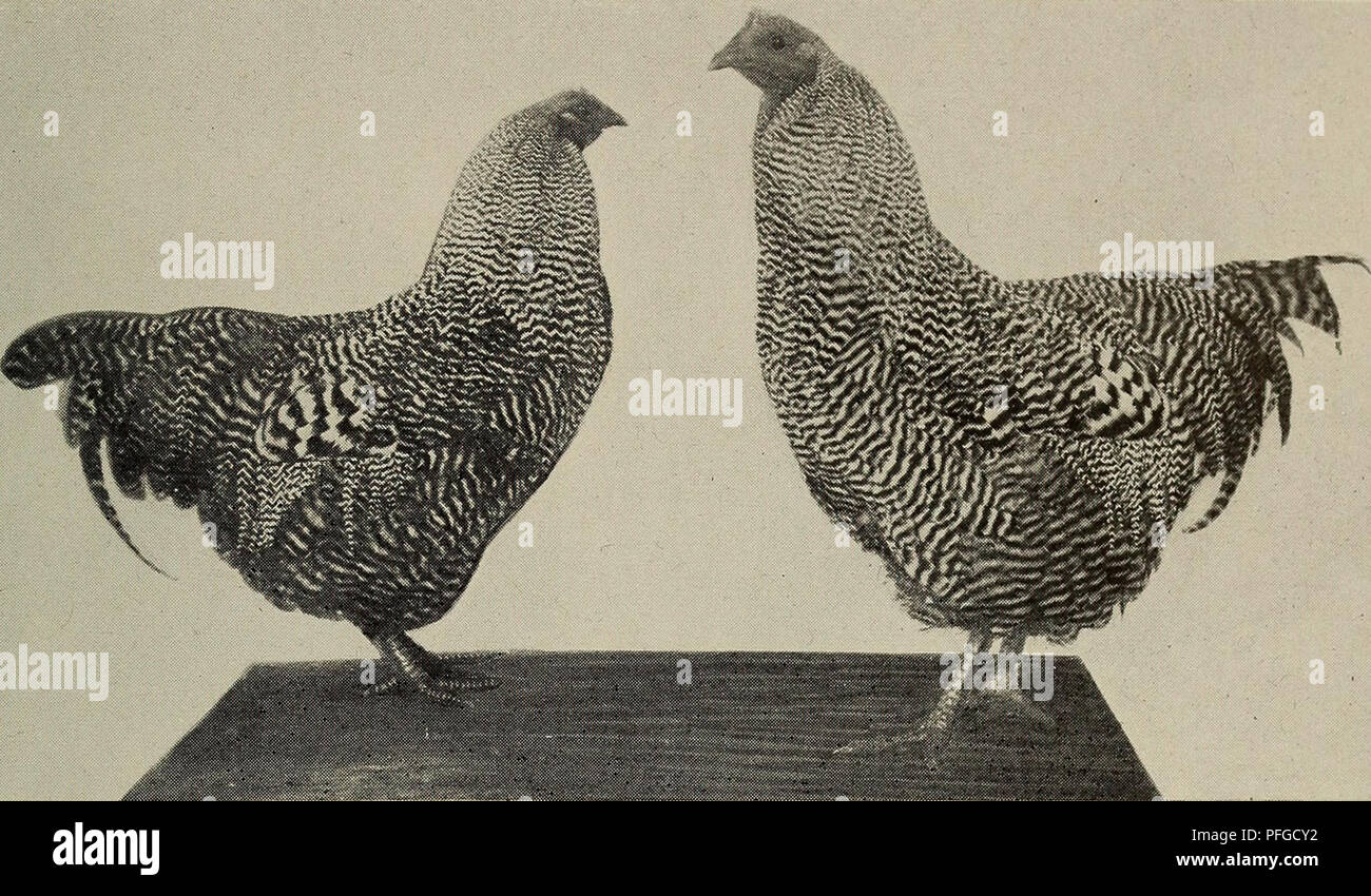 The Missouri State Poultry Experiment Station in Mountain Grove ...