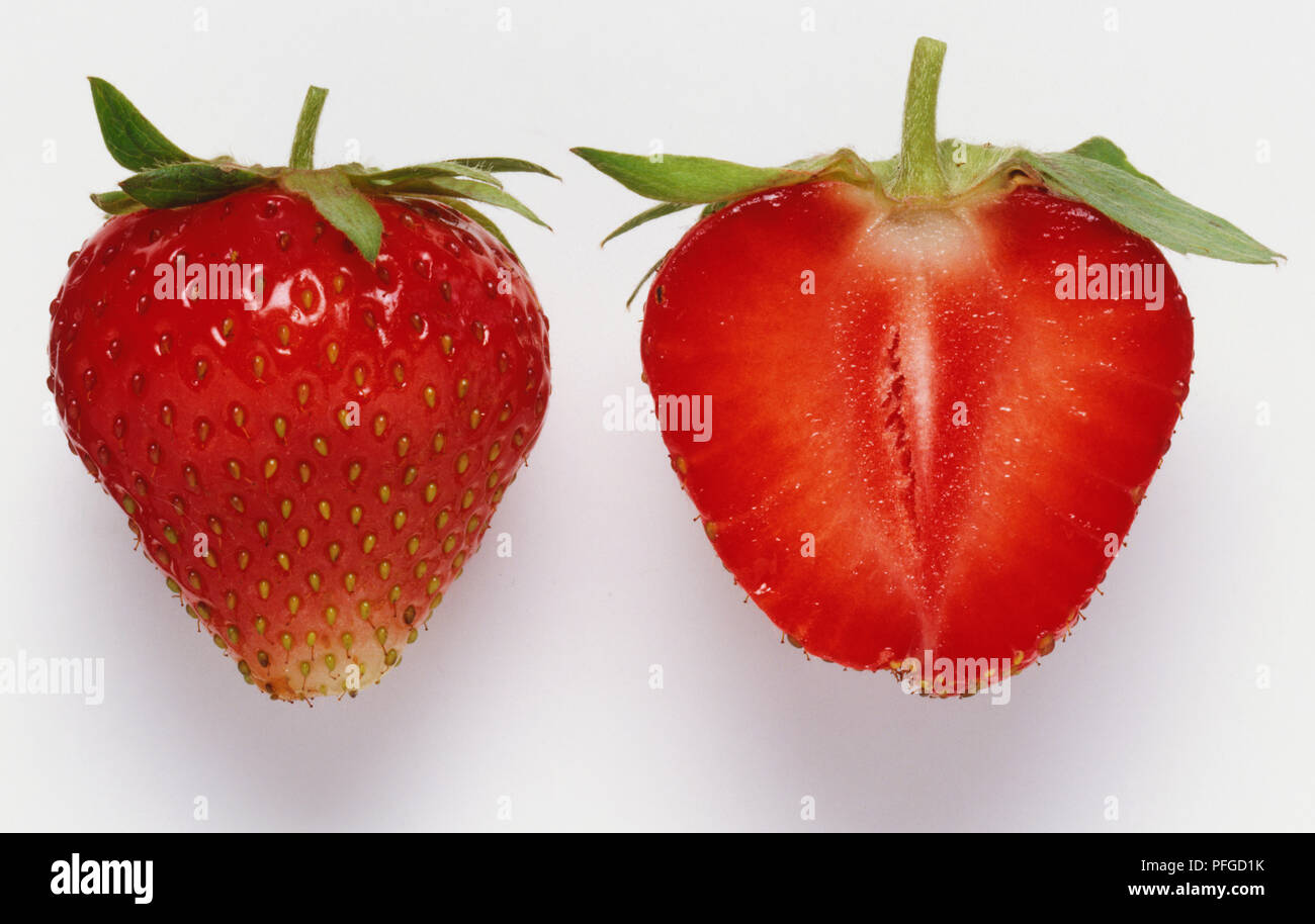 Longitudal section through a strawberry beside a whole strawberry Stock ...