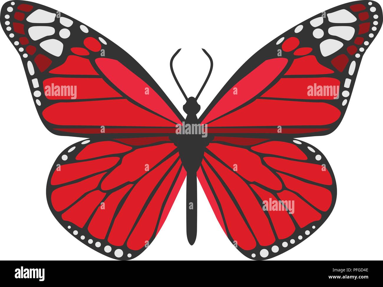Red Butterfly Insect Animal Vector Stock Vector Image & Art - Alamy