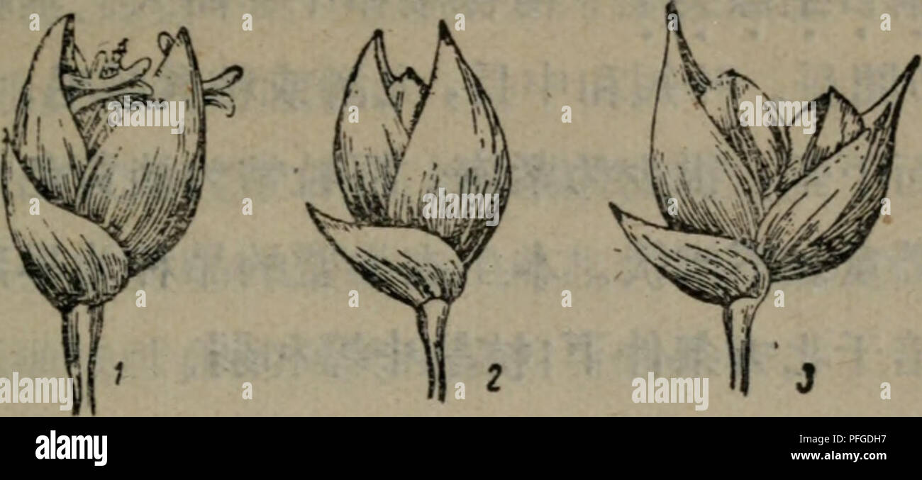 This image from *Da Tian Zuo Wu Yu Zhong Ge Lun Gu Lei Zuo Wu* provides ...