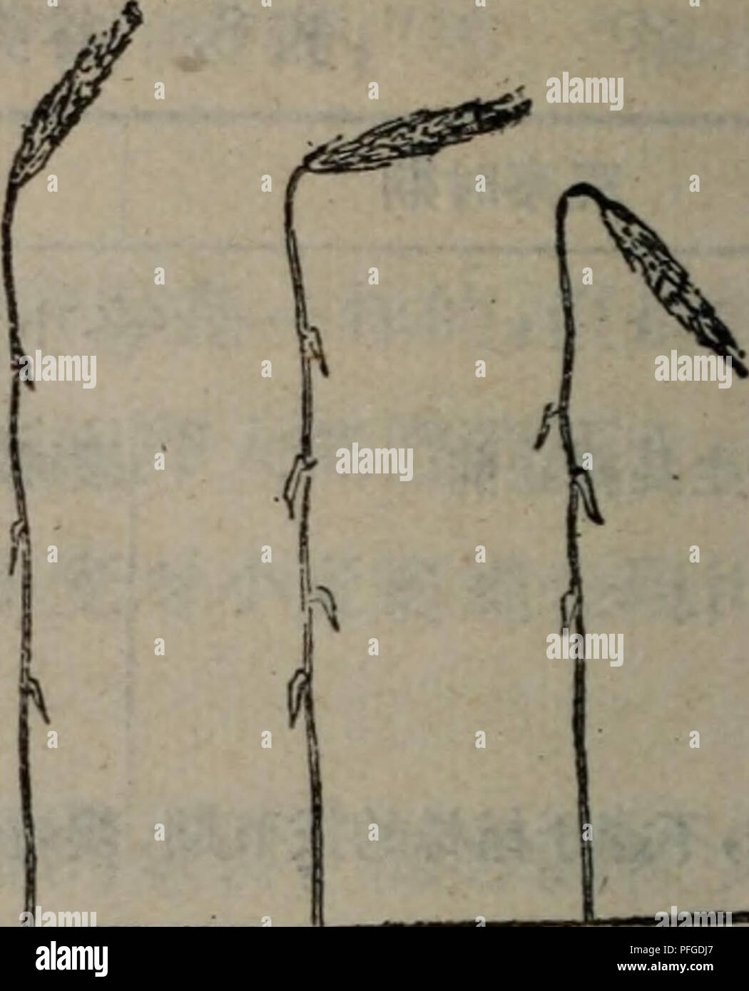 1aee hi-res stock photography and images - Alamy