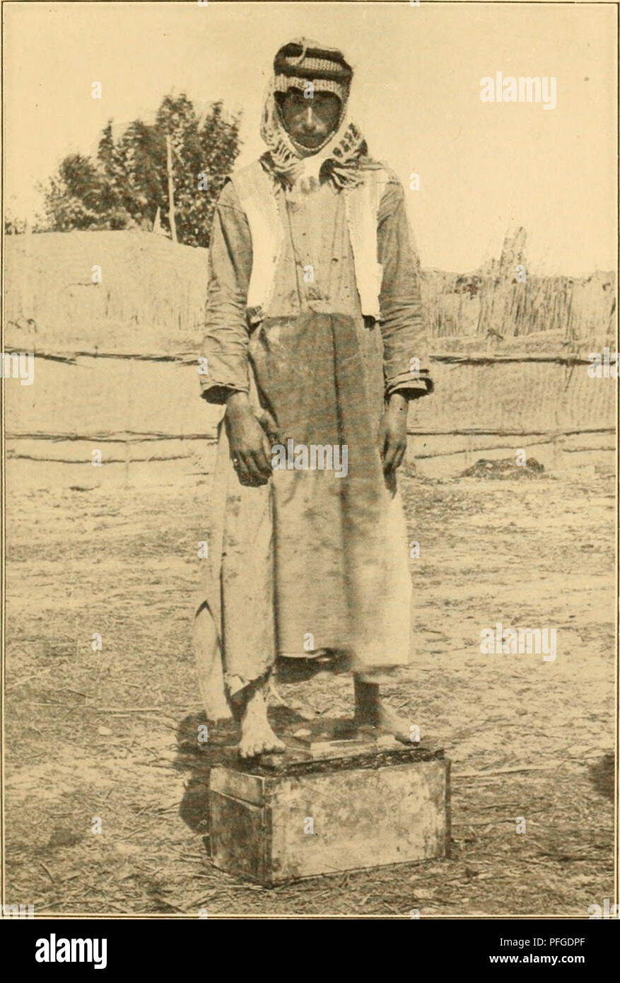 Charles packer hi-res stock photography and images - Alamy