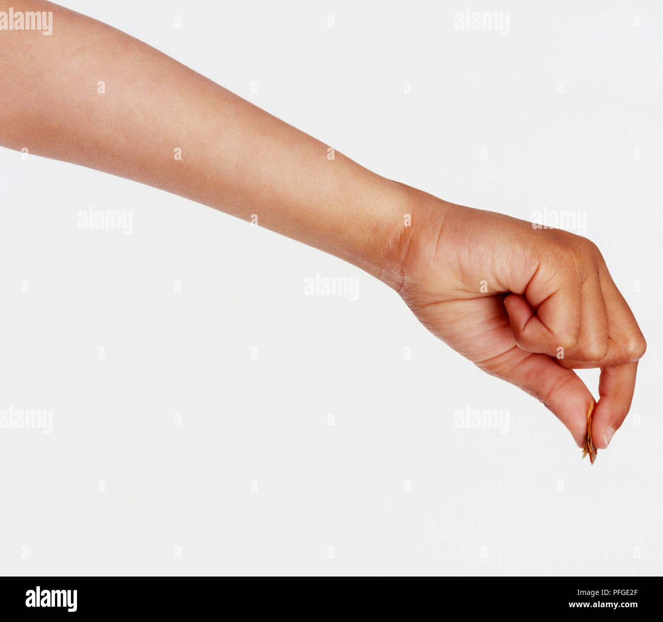 Feeding fish flakes hi-res stock photography and images - Alamy