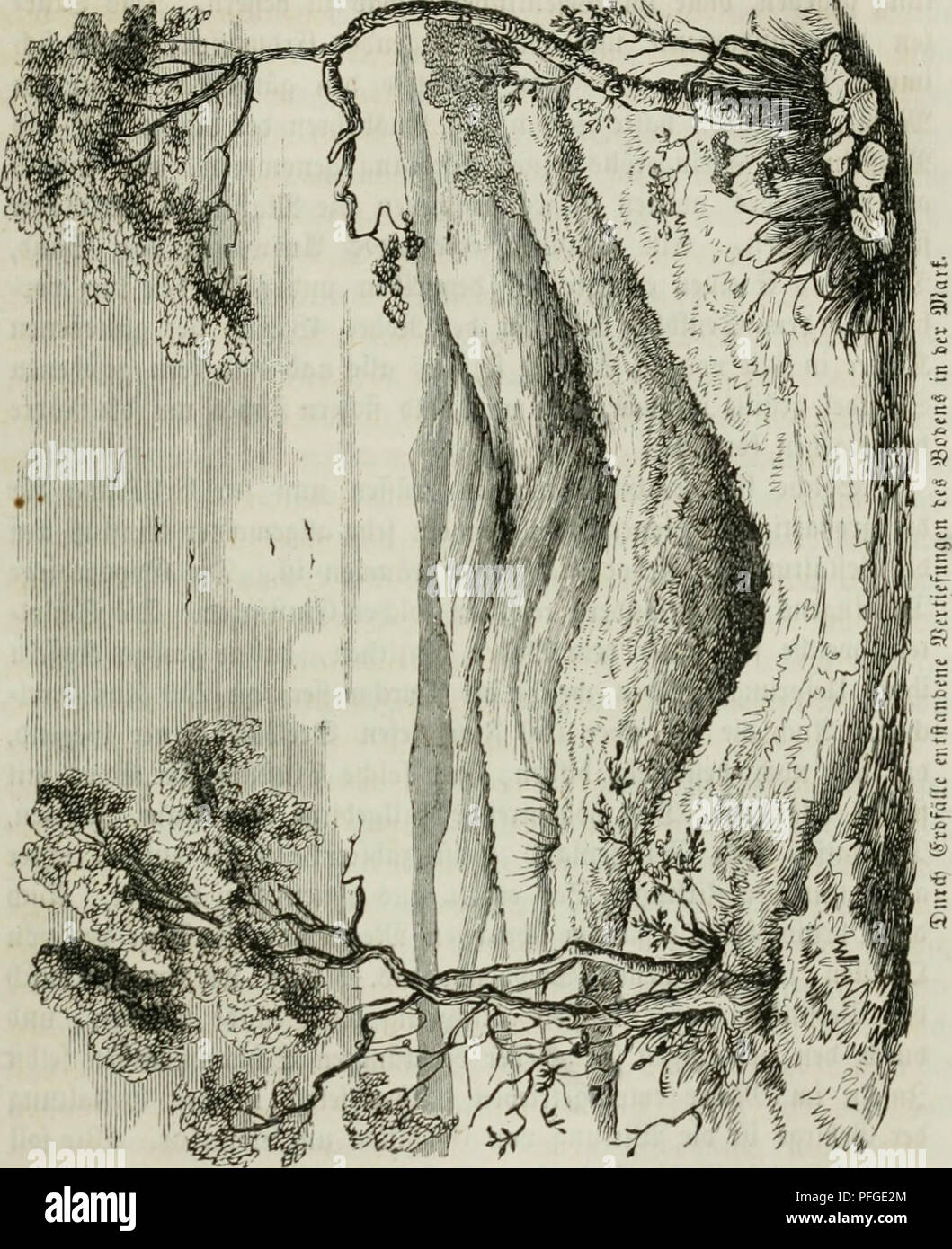 This work describes the cosmos, its history, and the natural ...