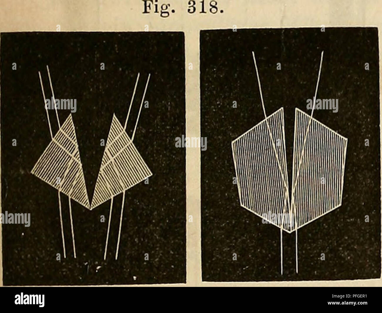 This book on microscopes covers their theory, usage, history, and ...