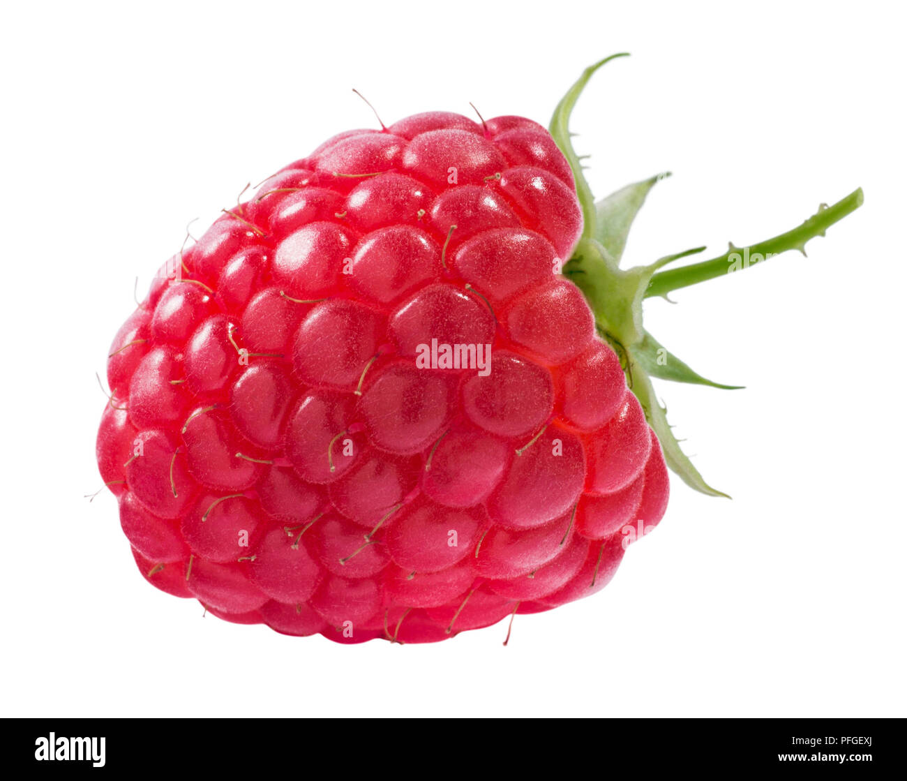 Raspberry on white hi-res stock photography and images - Alamy