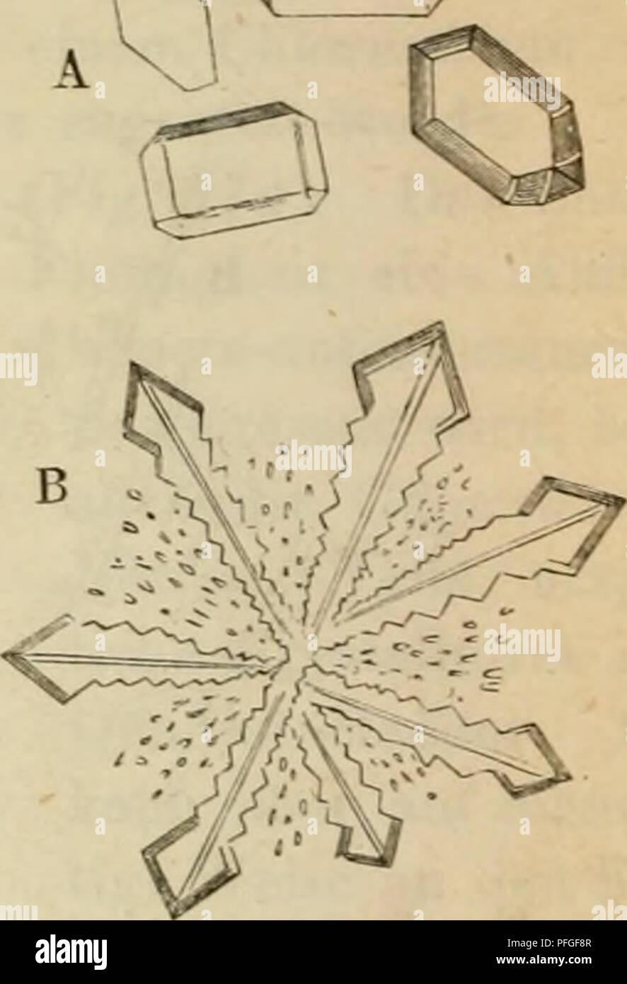 This book explores the history, theory, and usage of the microscope ...