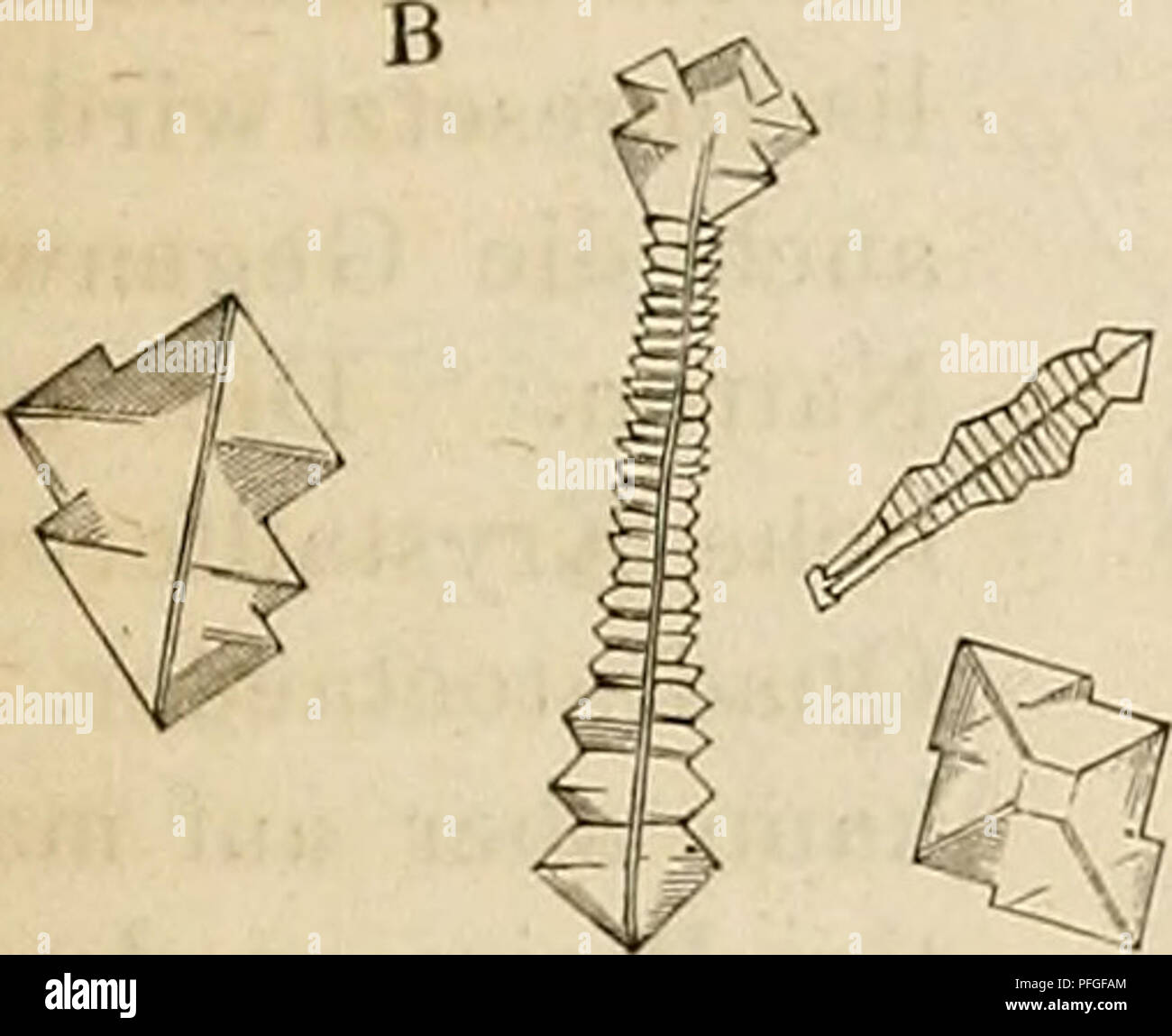 A detailed illustration from 'Das Mikroskop' explaining the theory, use ...