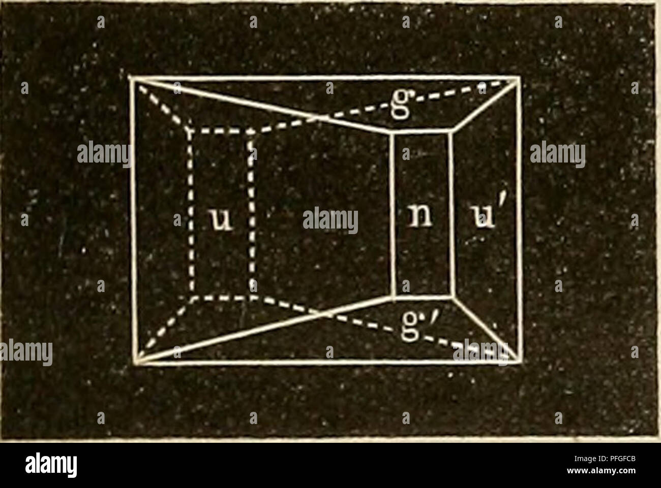 This work examines the theory, use, history, and current state of ...