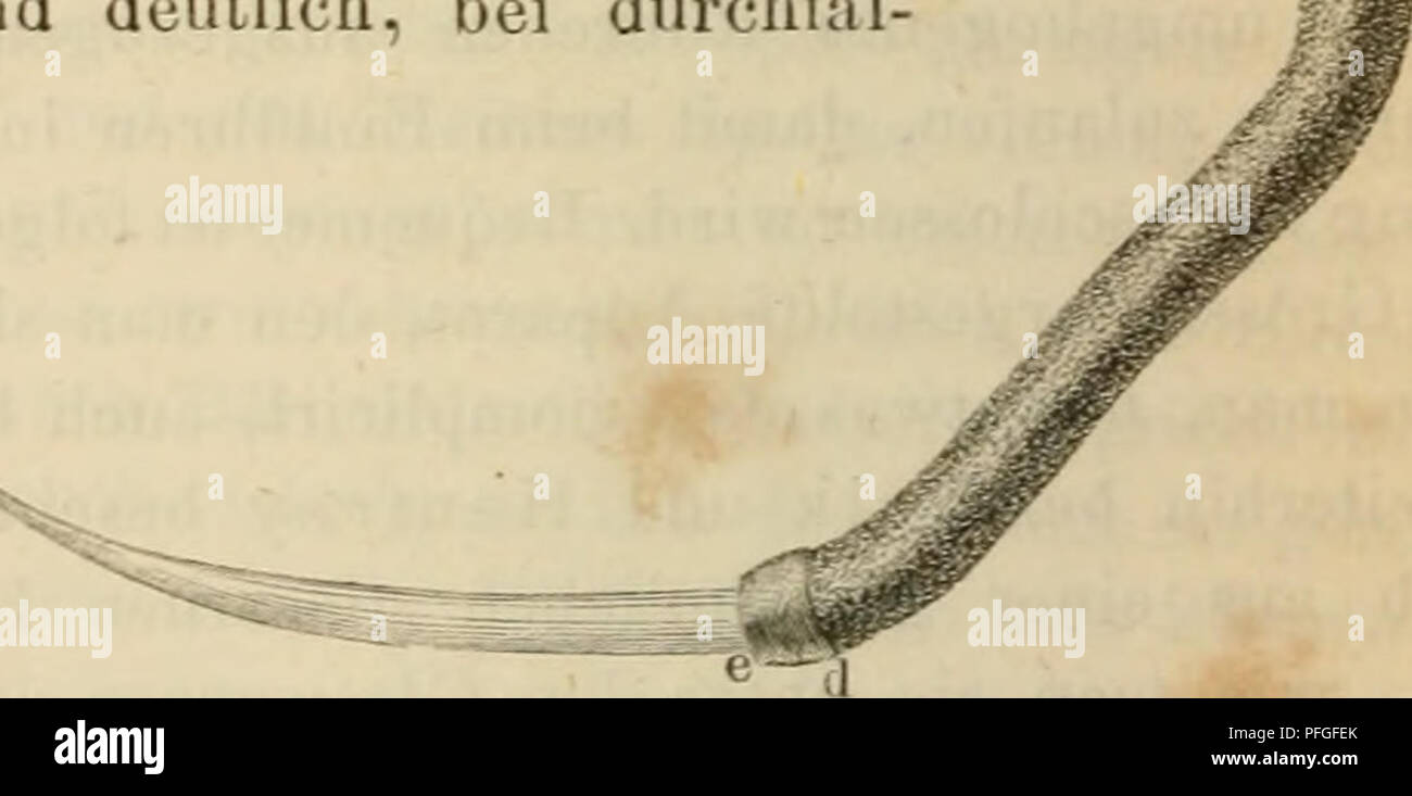 This text covers the theory, usage, and history of microscopes ...