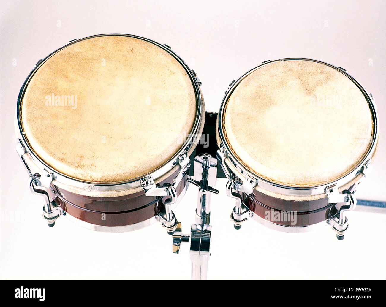 Bongos bongo hi-res stock photography and images - Alamy