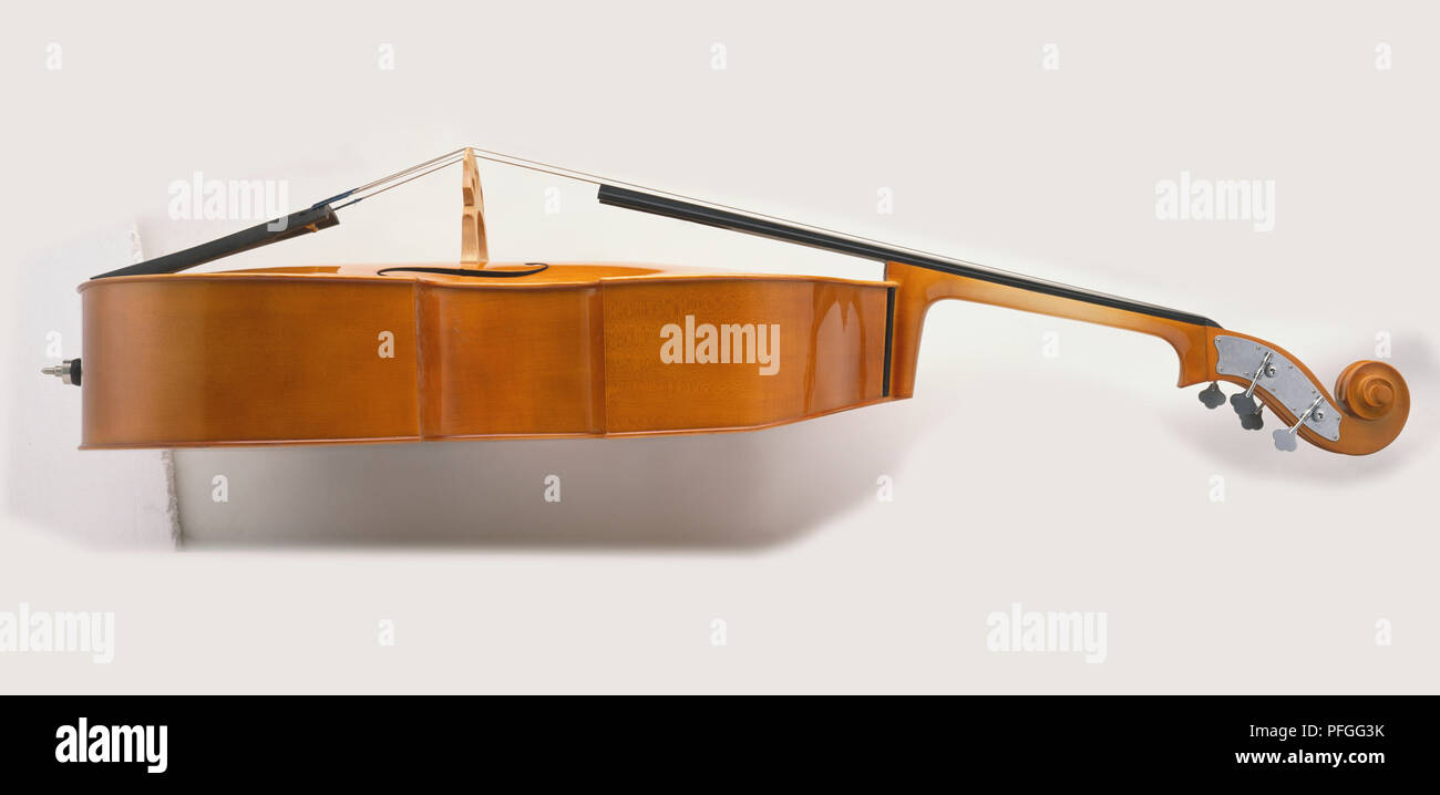 Double Bass in profile showing wooden body, long neck and scroll Stock ...