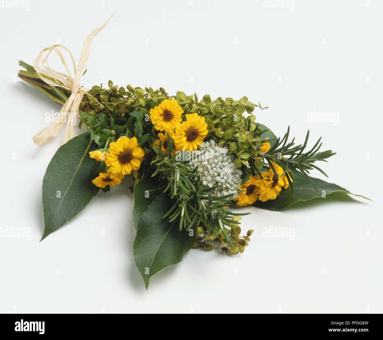Fresh herb bunches tied with raffia Stock Photo - Alamy