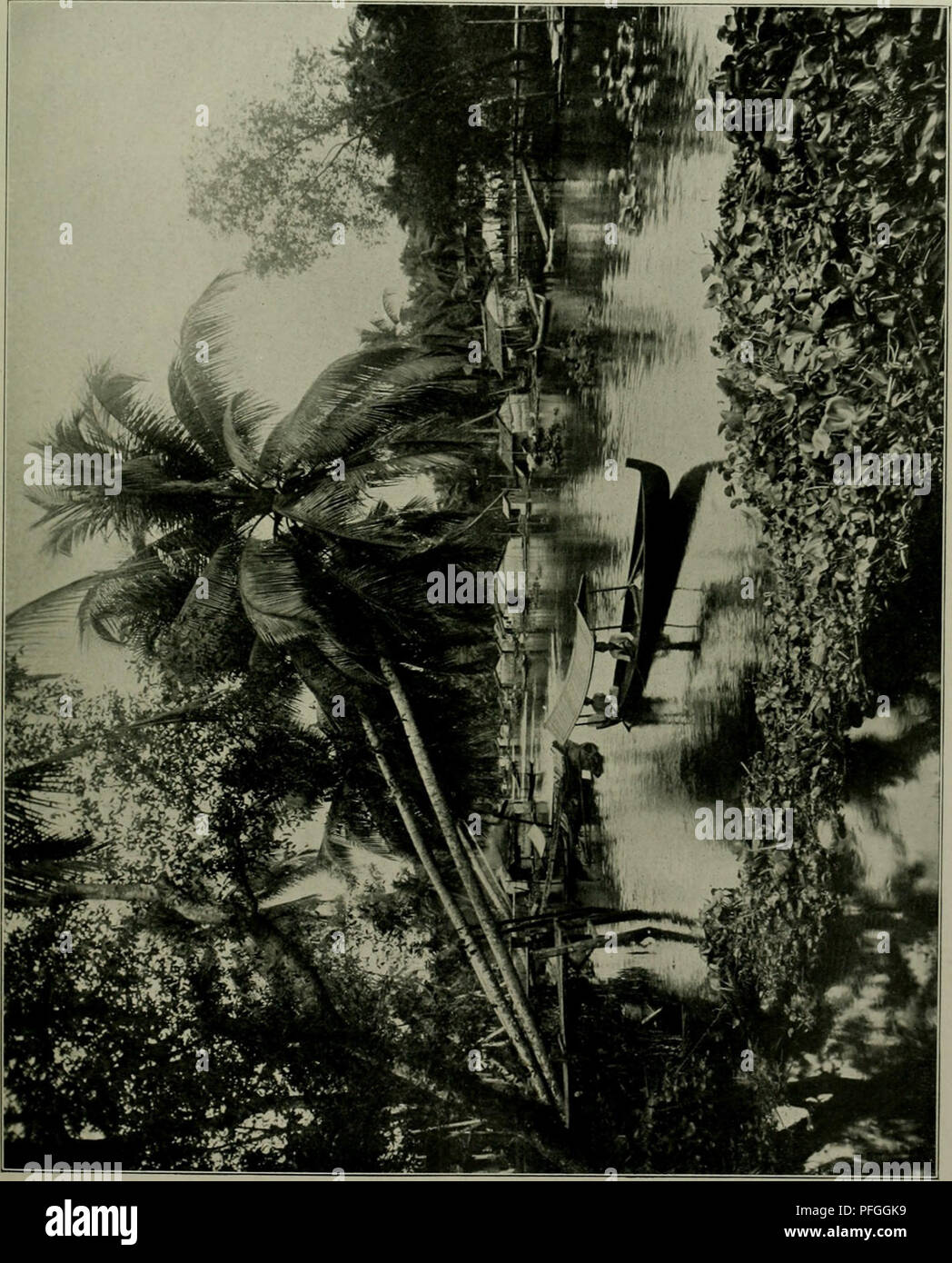 This German botanical text explores plant life, including its ...