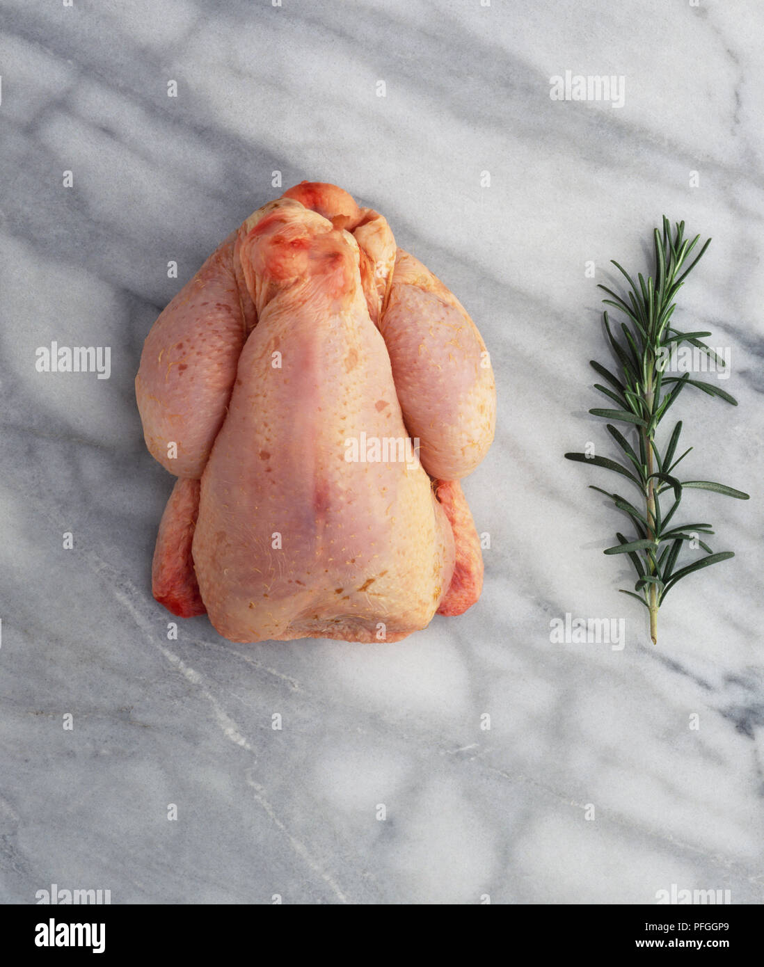 Whole Poussin High Resolution Stock Photography and Images - Alamy