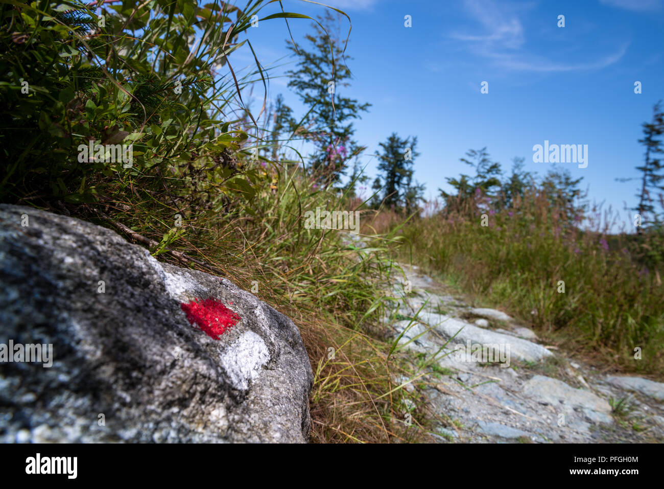 Hiking trail sign mark painted on a rock. Path leading trough the ...