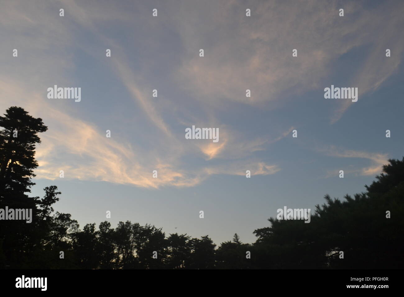 Evening sky with trees Stock Photo - Alamy