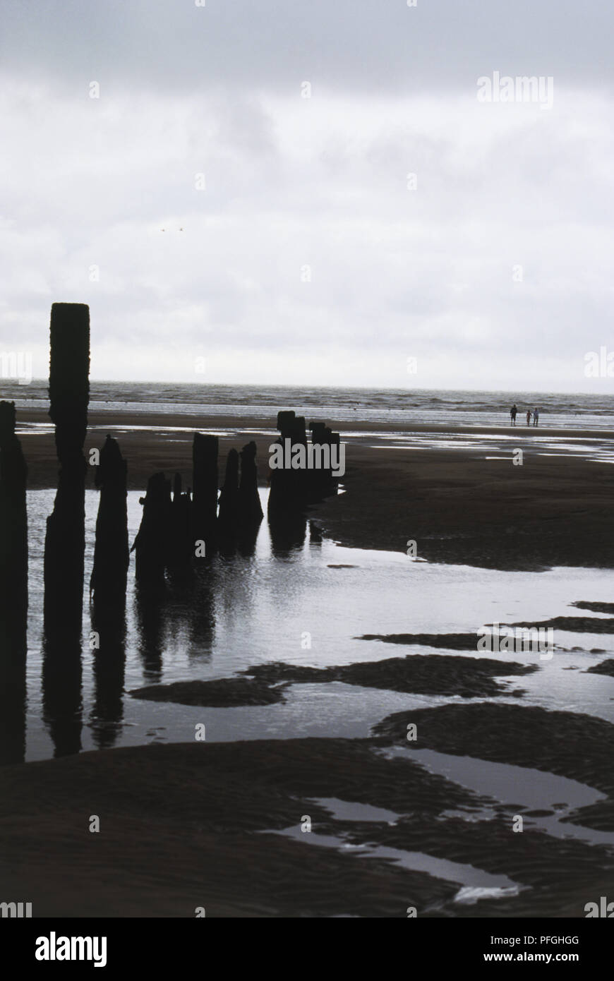 Row of wooden posts in shallow waters on a beach Stock Photo - Alamy