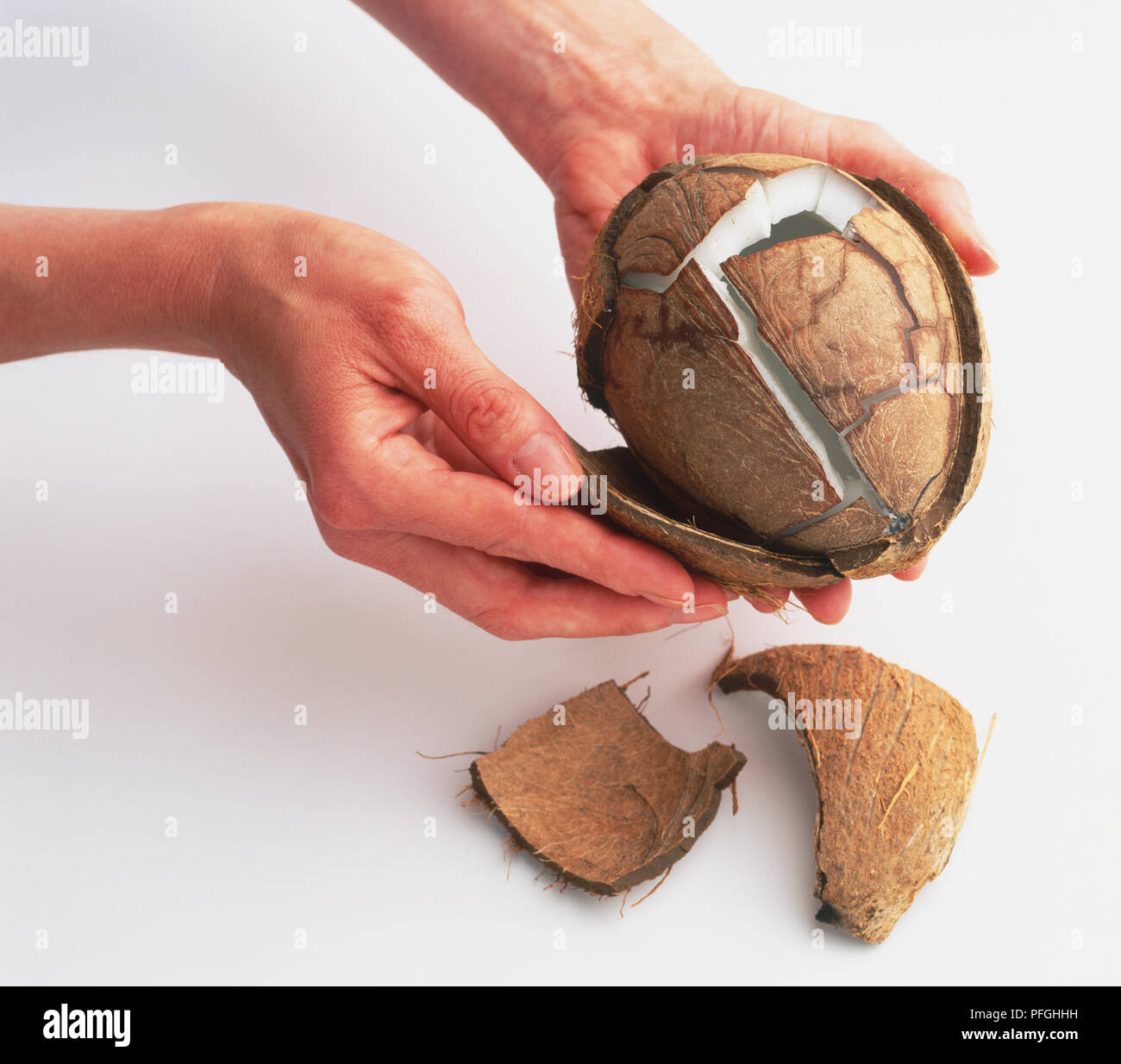 Separating Coconut husk from shell Stock Photo - Alamy