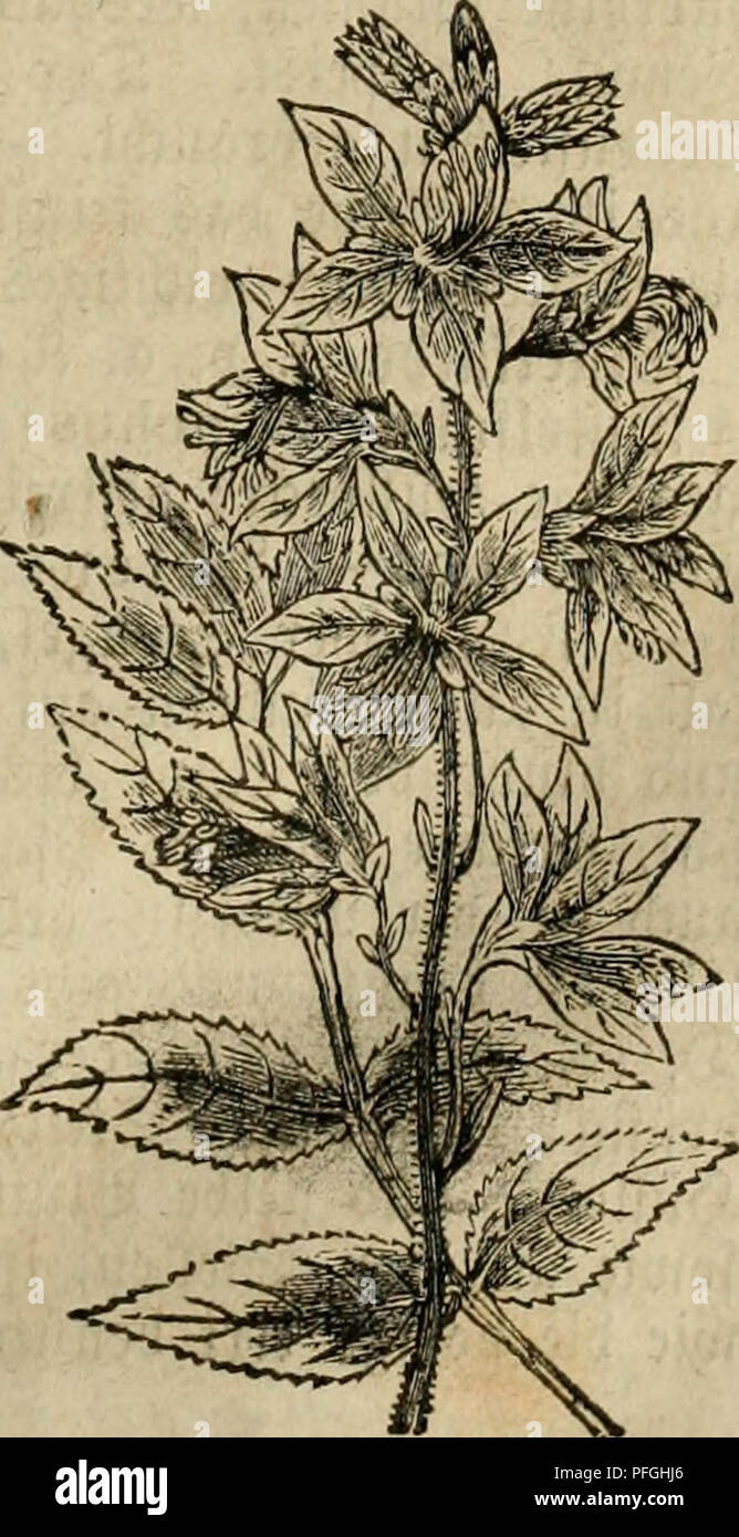 This comprehensive illustrated herb book details the uses, benefits ...