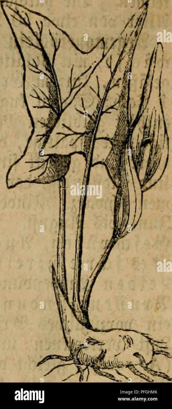 A large illustrated herbal book that provides a comprehensive ...