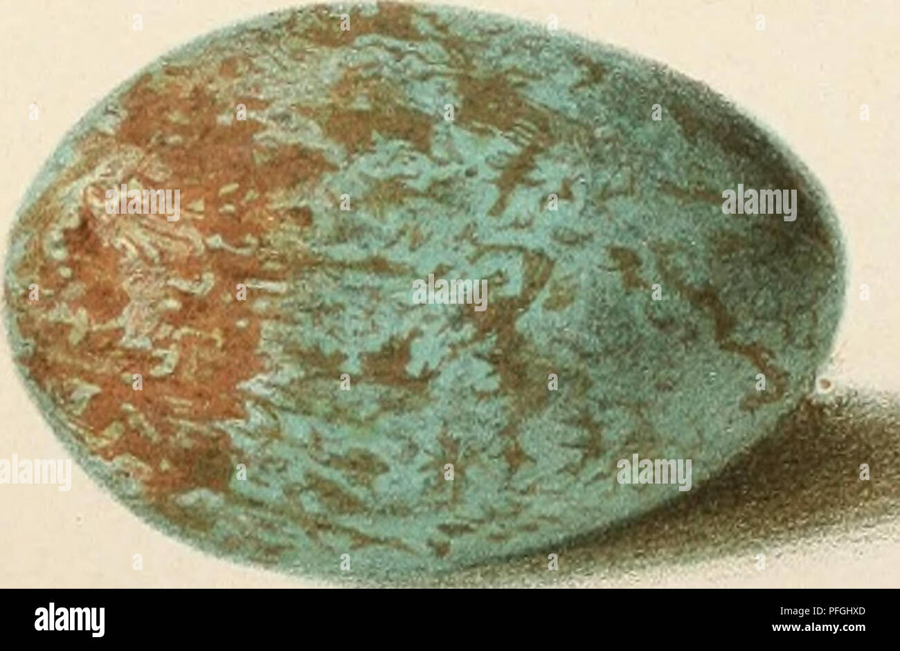 This work by Baldamus provides an in-depth look into the life cycle and ...