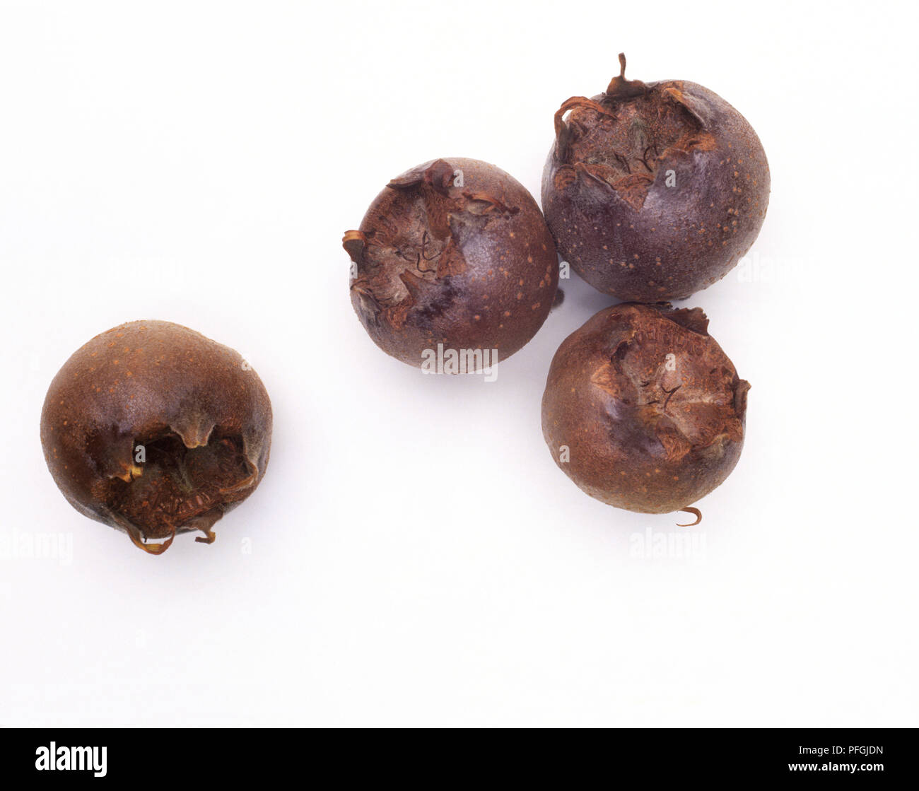 Mespilus germanica drink hi-res stock photography and images - Alamy