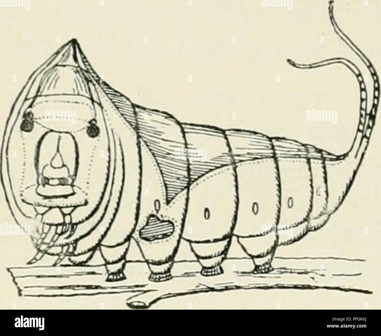 This work explores the Darwinian theory of evolution, focusing on ...