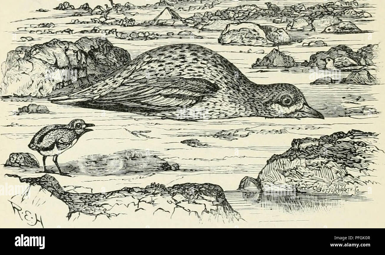 Darwinian museum hi-res stock photography and images - Alamy