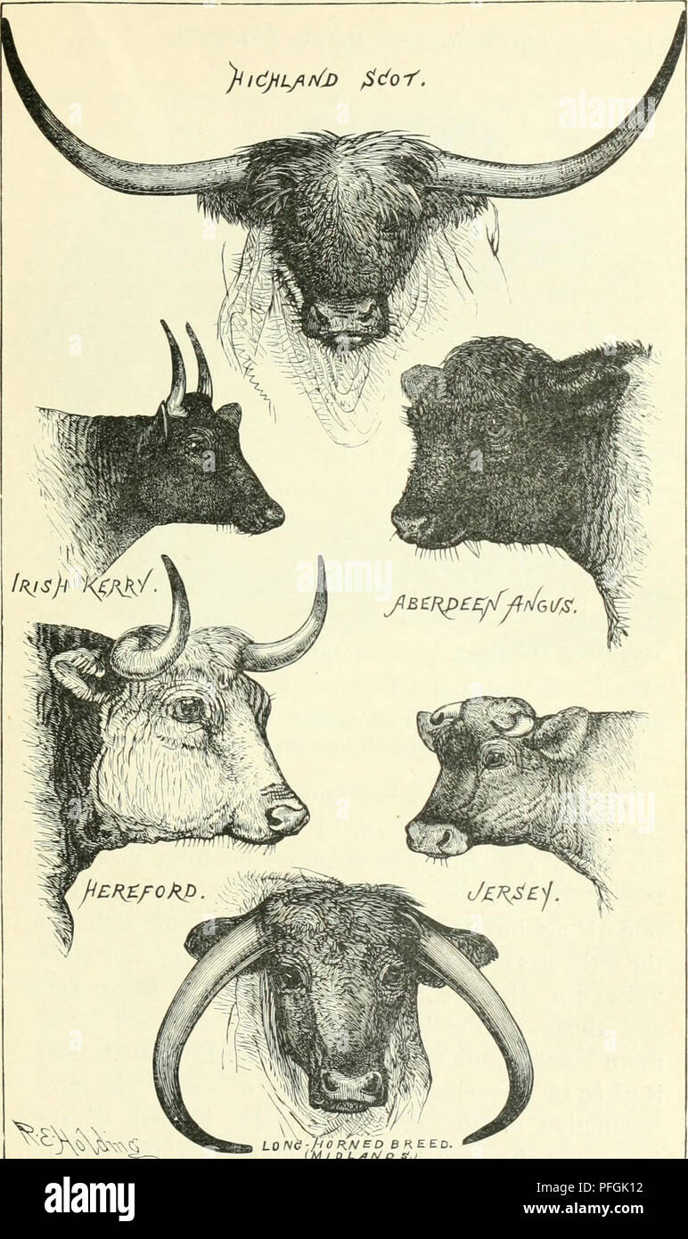 This work explores Charles Darwin's theory of evolution and its ...
