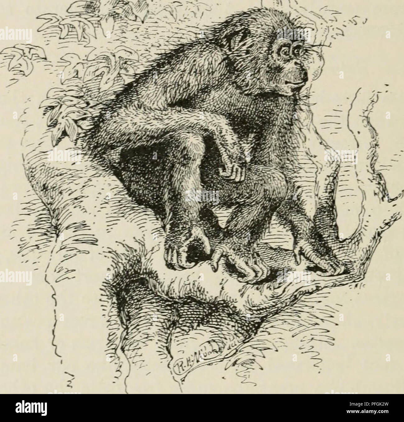 This work discusses Charles Darwin's theory of natural selection and ...