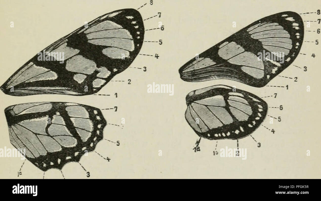 This work explores Darwin's theory of natural selection, with a focus ...