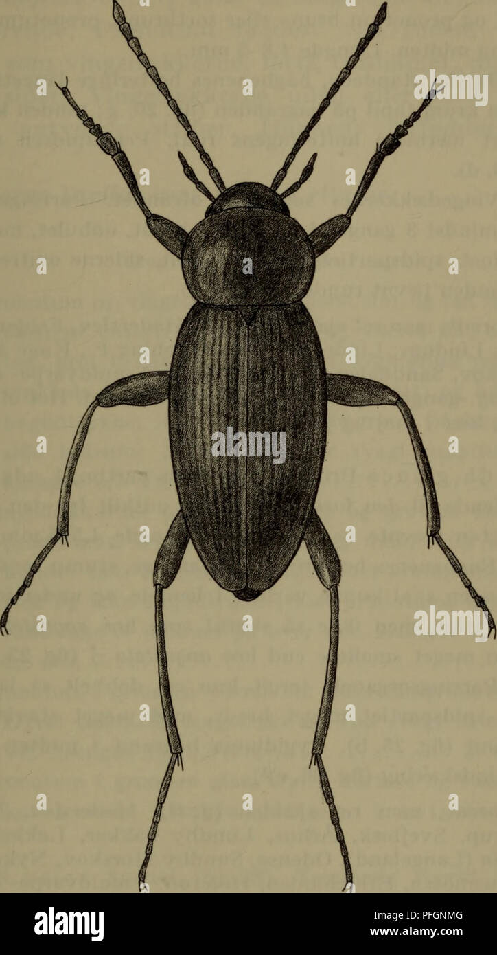 A Danish natural history guide providing detailed descriptions of ...