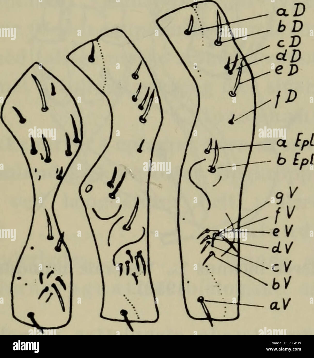 This volume of the illustrated handbook continues the study of Denmark ...