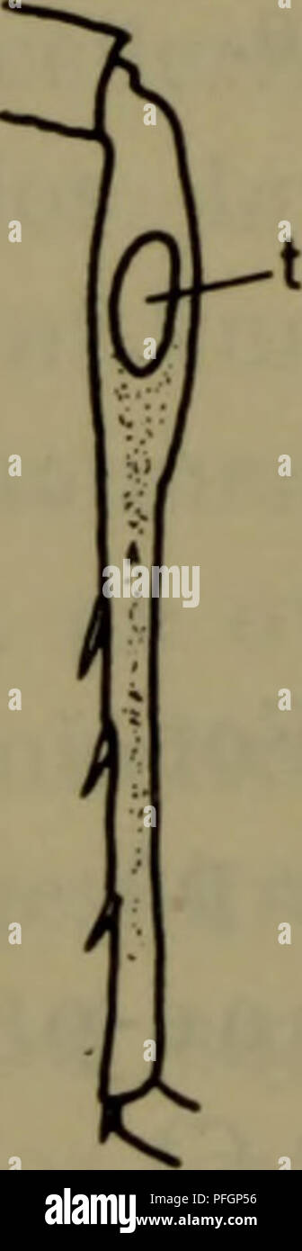 This work is a comprehensive guide to Danish fauna, featuring ...