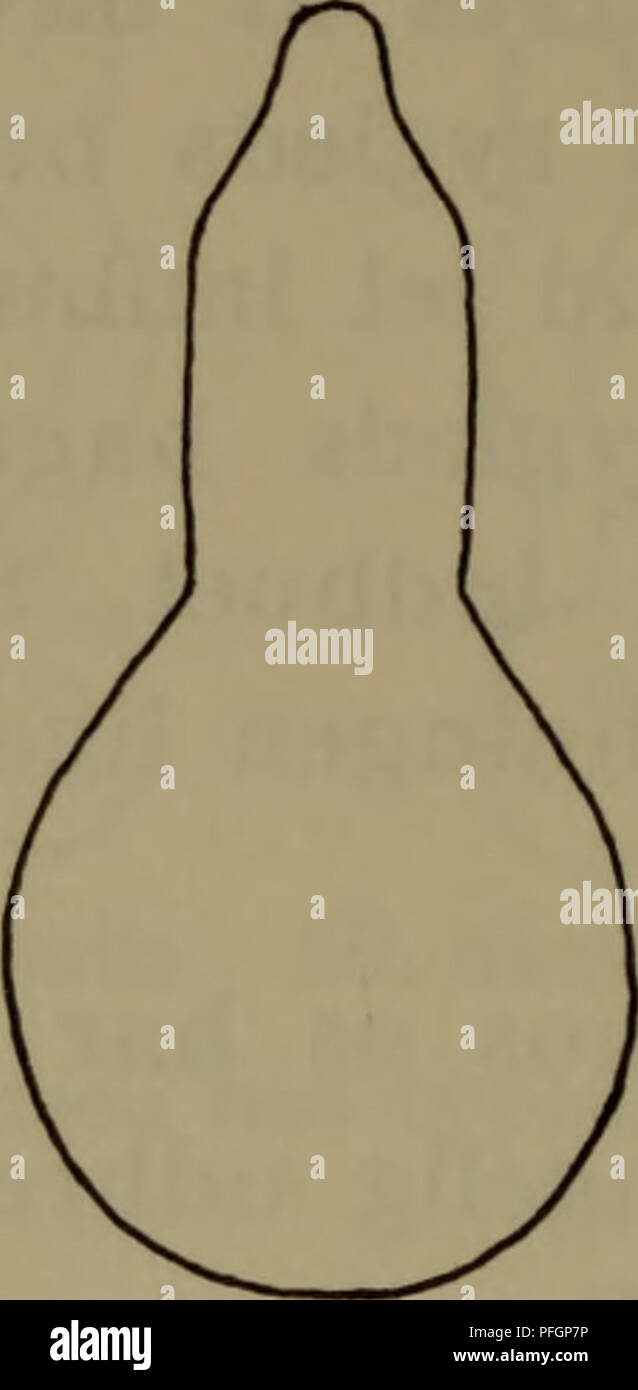 This illustrated guide provides an overview of Danish fauna, featuring ...