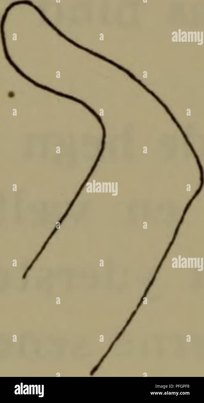 This volume of Danmarks Fauna illustrates the wildlife of Denmark, with ...