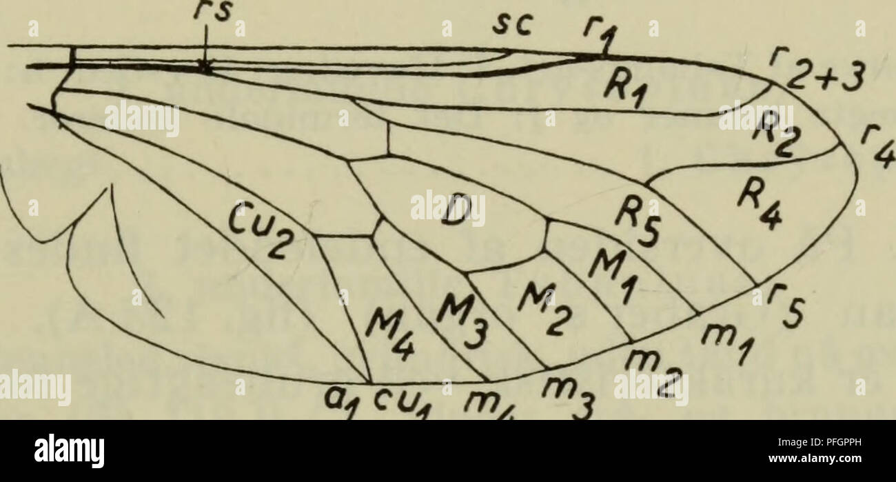 This Danish fauna guide offers detailed illustrations of species ...