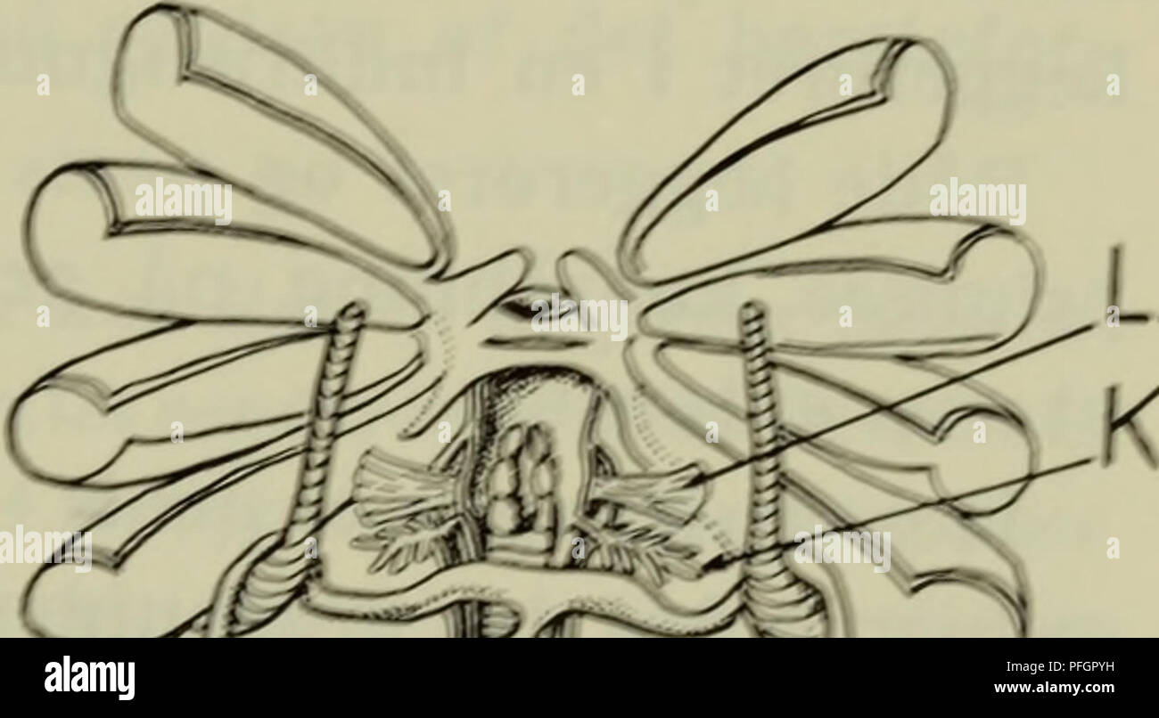 This illustrated handbook from Denmark provides insights into the ...