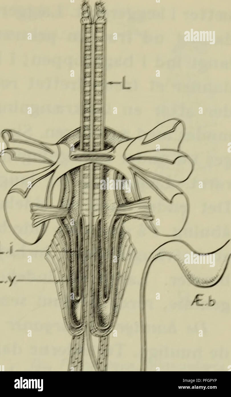 This illustrated handbook covers the fauna of Denmark, including ...