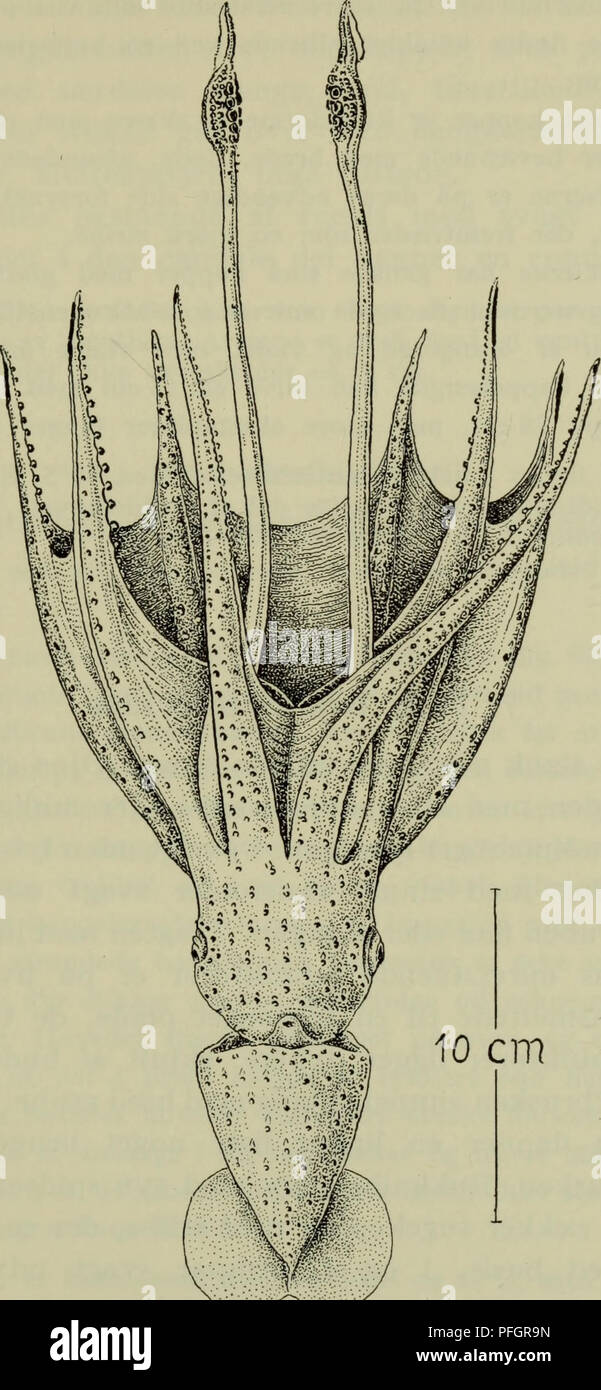 This handbook from the Danish Natural History Society provides detailed ...