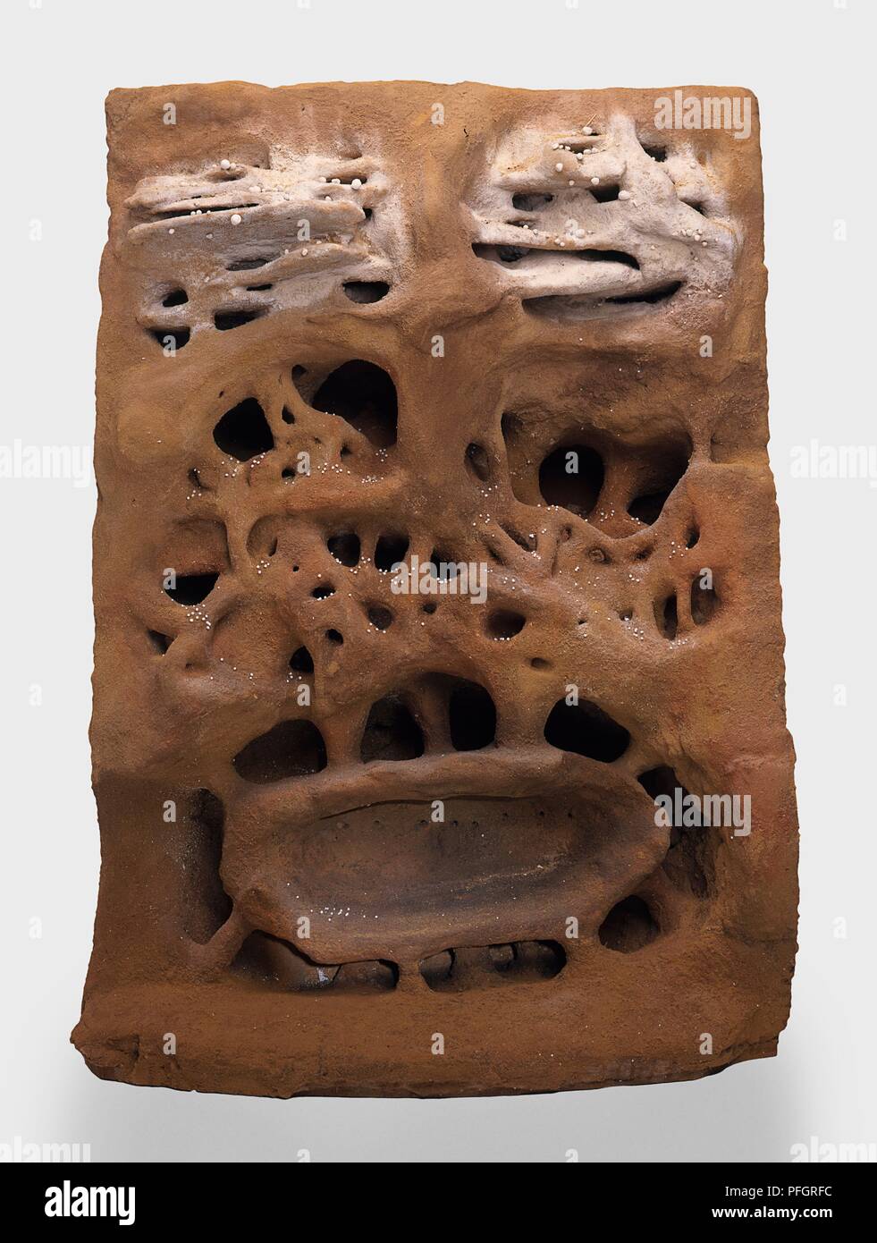 Termite Mound Cross Section