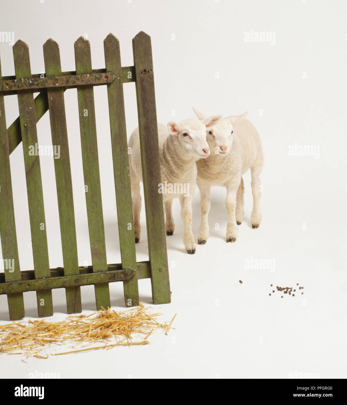 Half open white gate fence hi-res stock photography and images - Alamy